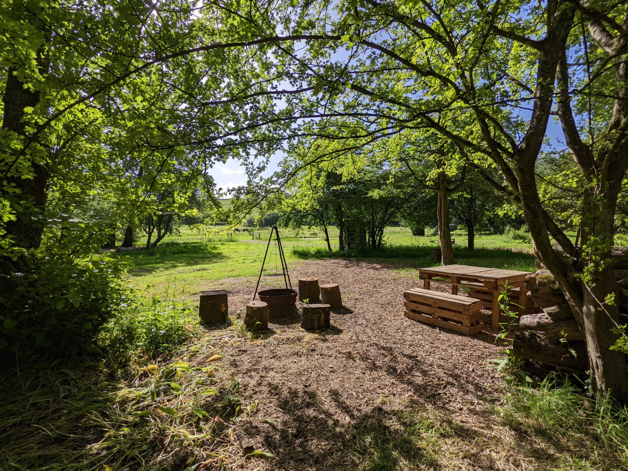 Wytch Wood Campsite Map | Wytch Wood Camping | Somerset