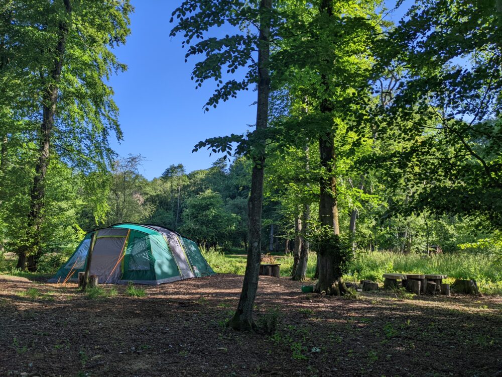 Wytch Wood Camping & Glamping Somerset | wytch-wood.co.uk
