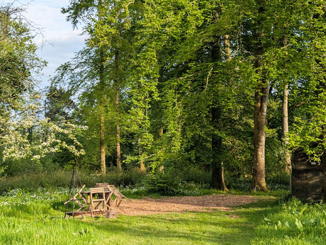 High Beeches Camping Pitch | Wytch Wood Camping & Glamping